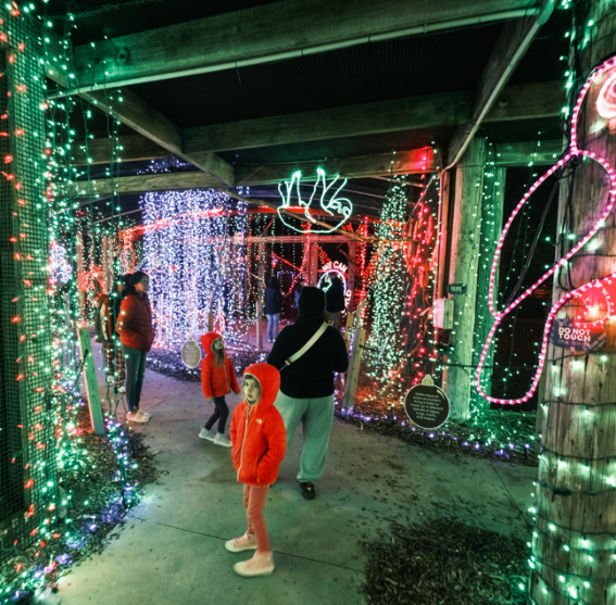 We Together: A Communication of Stormont Vail Health (Dec 01, 2022 ...